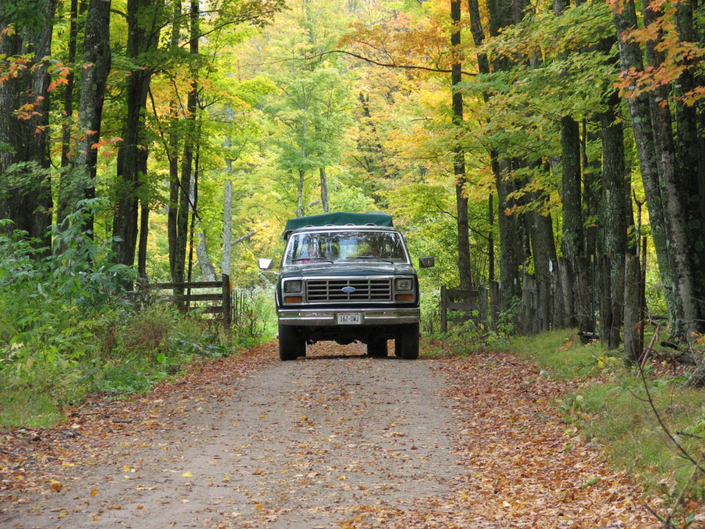 Forest Tour - Lumberjack Steam Train